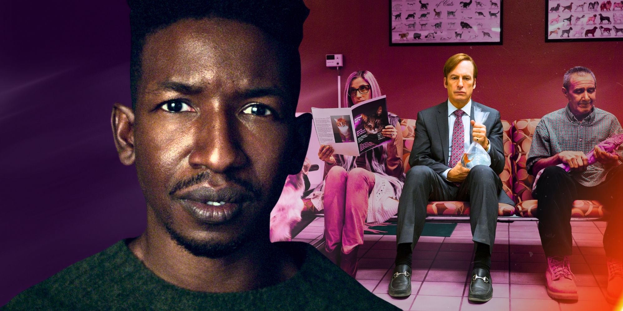 Best Shows Like Bosch: Legacy