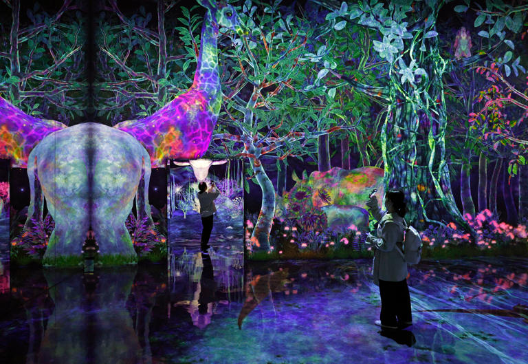 What is teamLab? The art attraction coming to Abu Dhabi explained