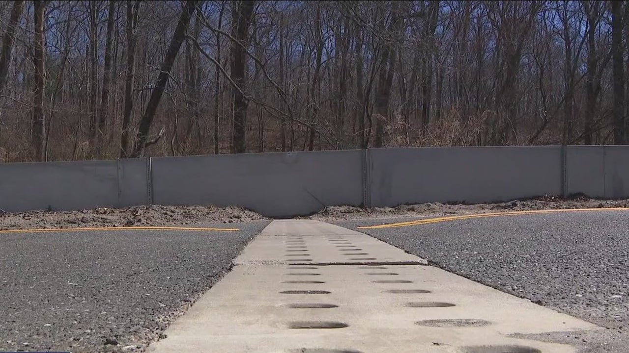Long Island town builds tunnel to save frogs and wildlife from road traffic