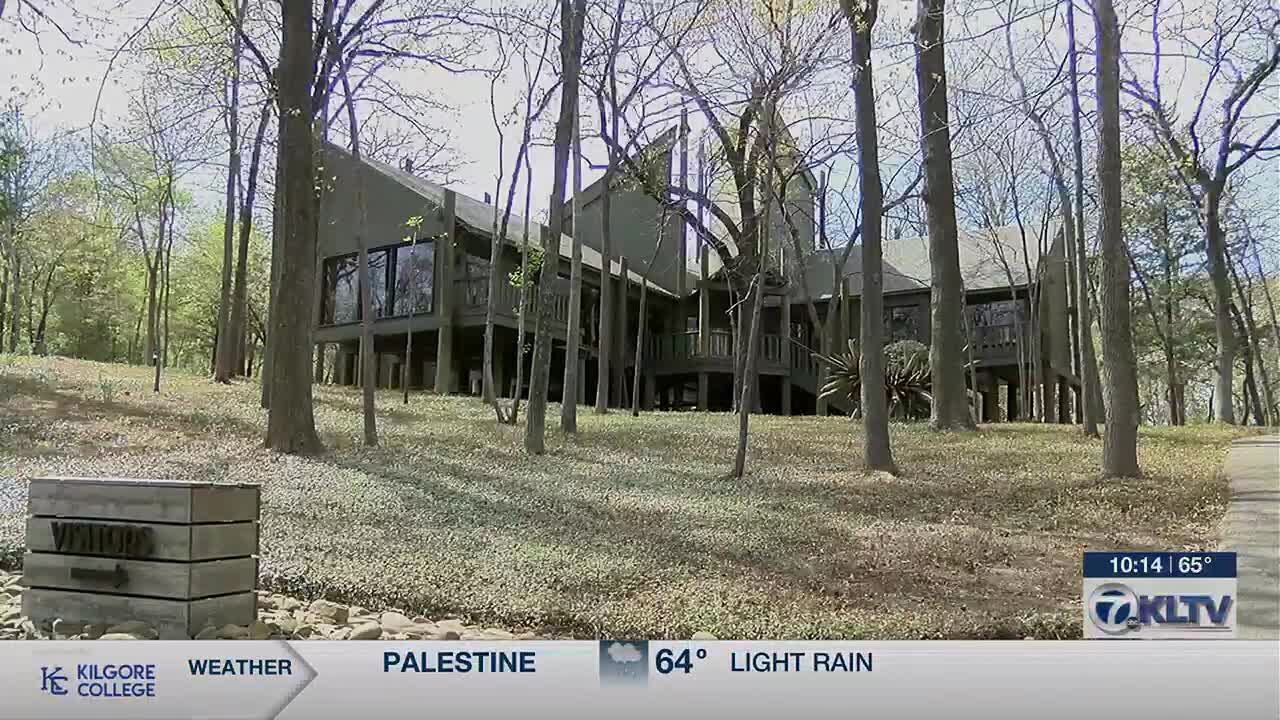 Treehouse building built in 1980 launching new era in media