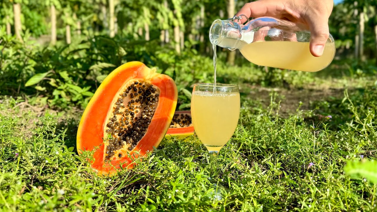 Homemade Papaya Wine