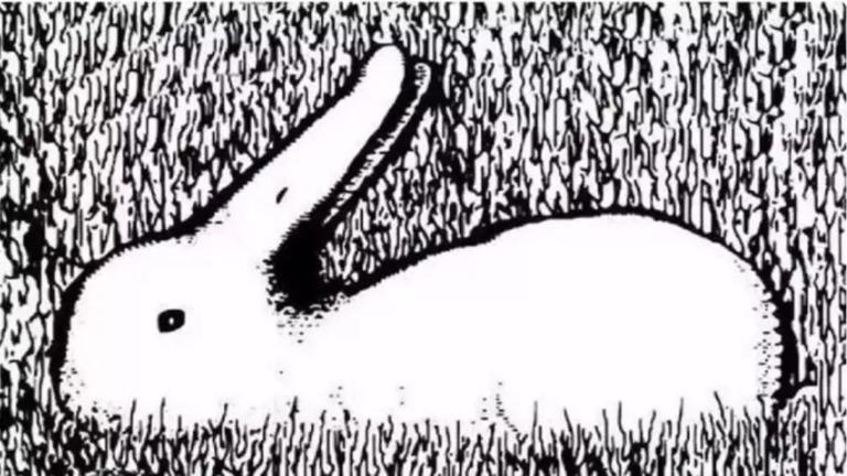 Optical illusion personality test: Rabbit or duck? The animal you see ...