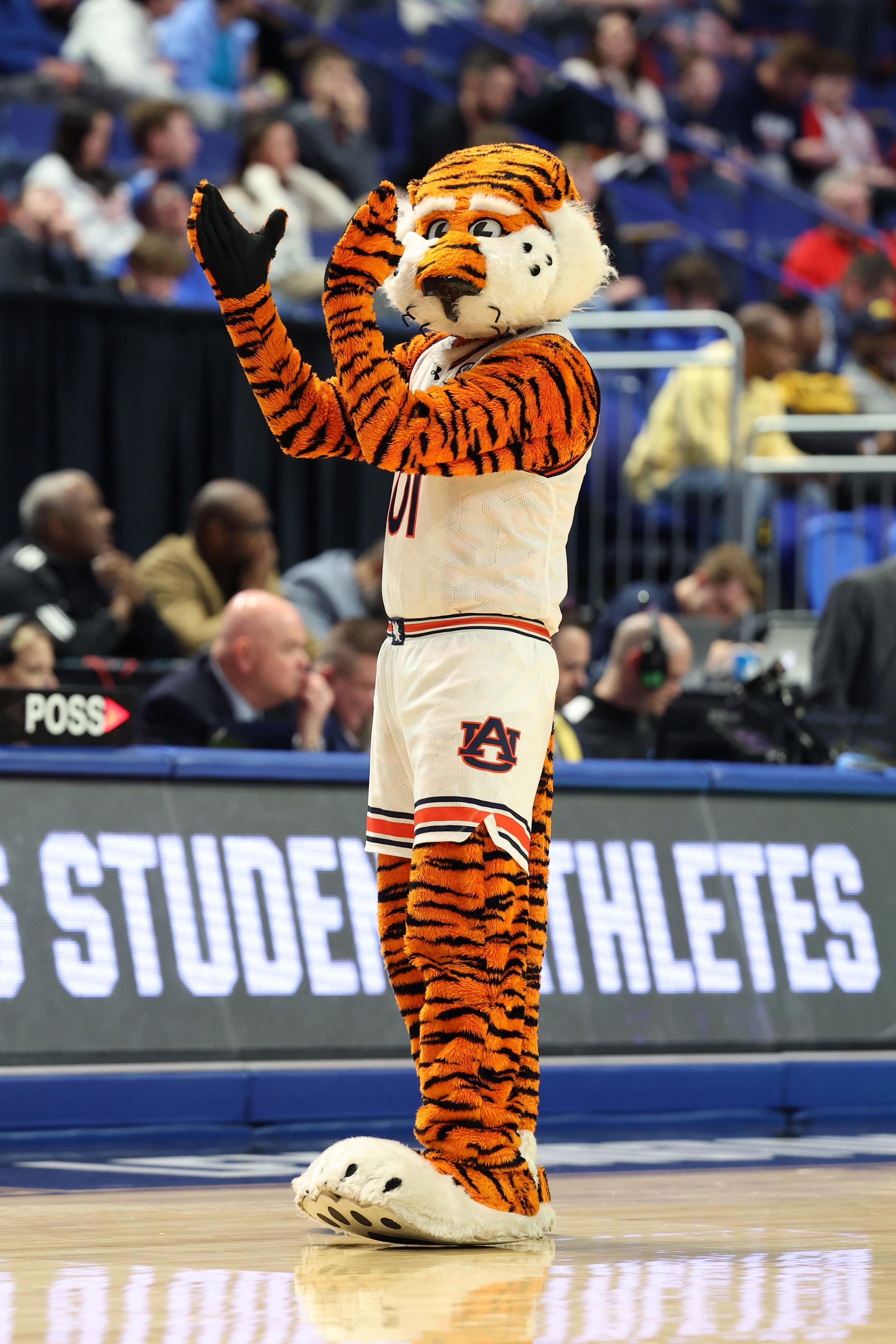 They're Tigers, not War Eagles: U-M tourney foe Auburn fights confusion ...