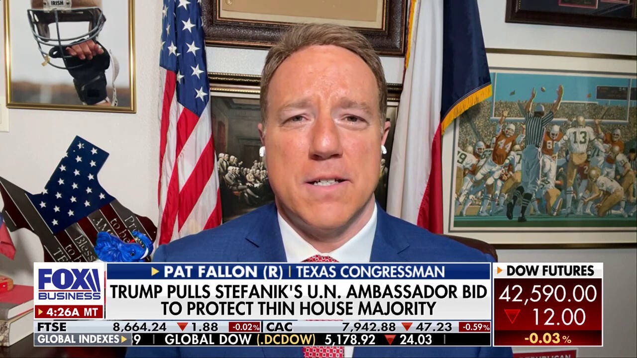 DOGE committee '100%' wants to defund PBS, NPR: Rep. Pat Fallon