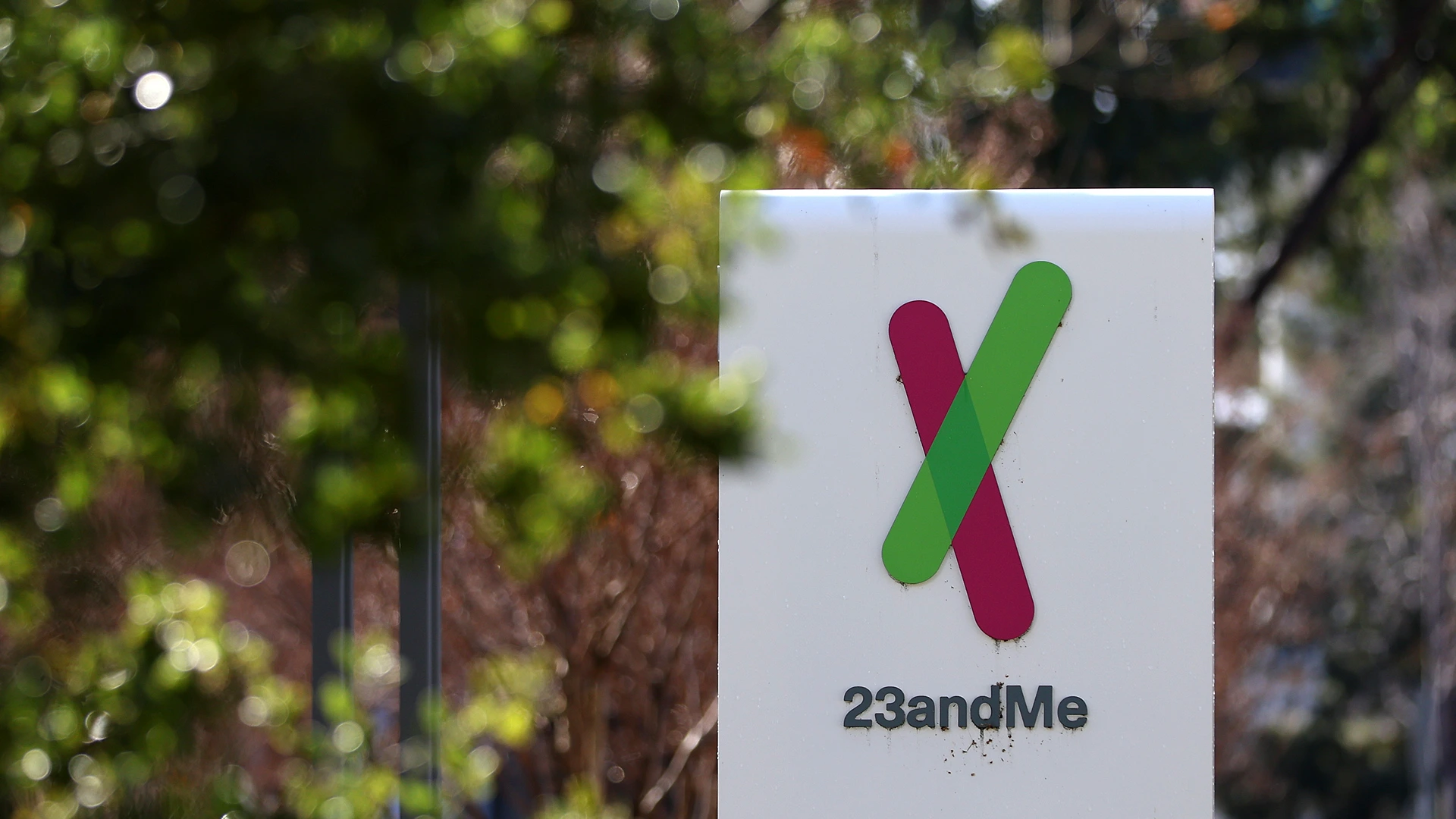 Sei Foundation Moves to Rescue 23andMe and Its 15M Users’ DNA With Potential Buyout