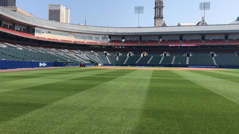 Bisons open season today