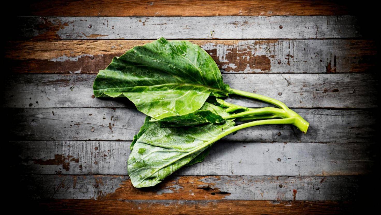 Este vegetal tem mais ferro do que o espinafre! Você já experimentou?