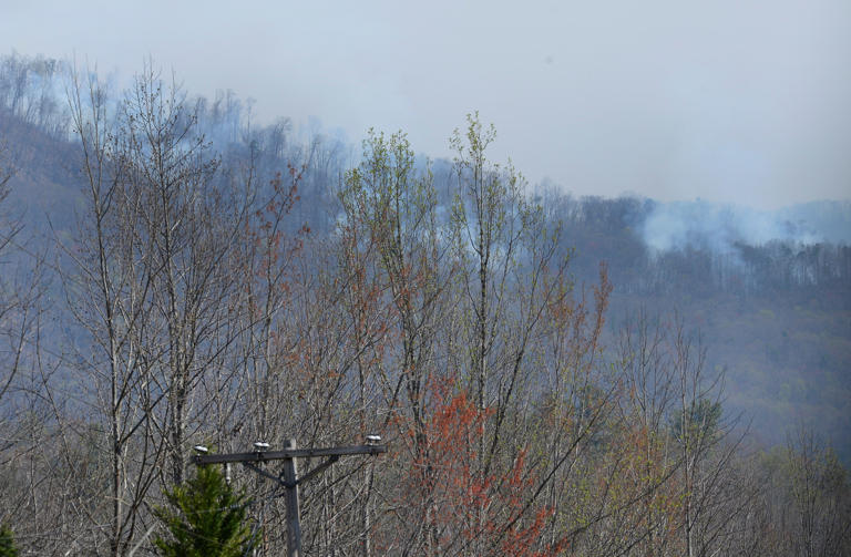 SC Gov. Henry McMaster secures FEMA fire assistance grant, 'people need ...