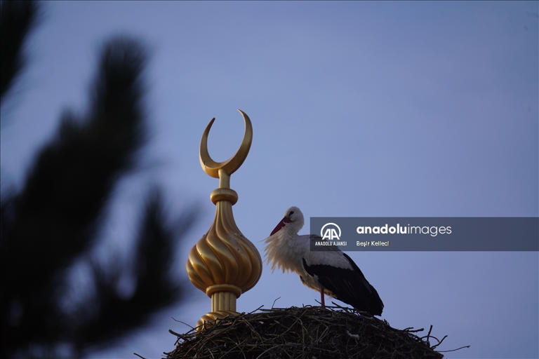 Sudan army recaptures presidential palace from paramilitaries