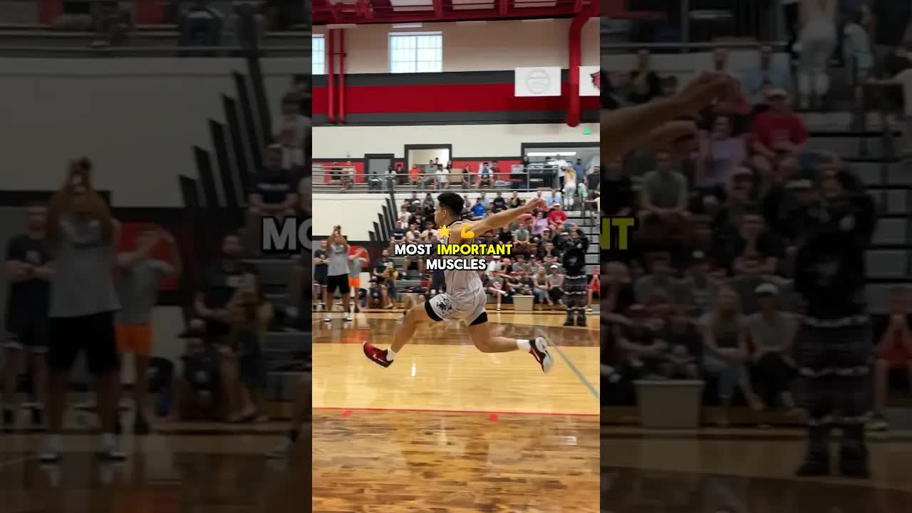 Vertical Jump Increase: Weighted Pull Ups & Rows Workout