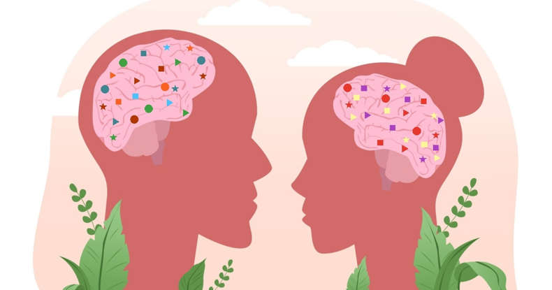 Men vs. Women: The Brain's Hidden Differences Men vs. Women: The Brain's Hidden Differences