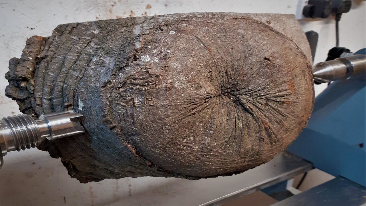 How 'The Knot' became the star of the project