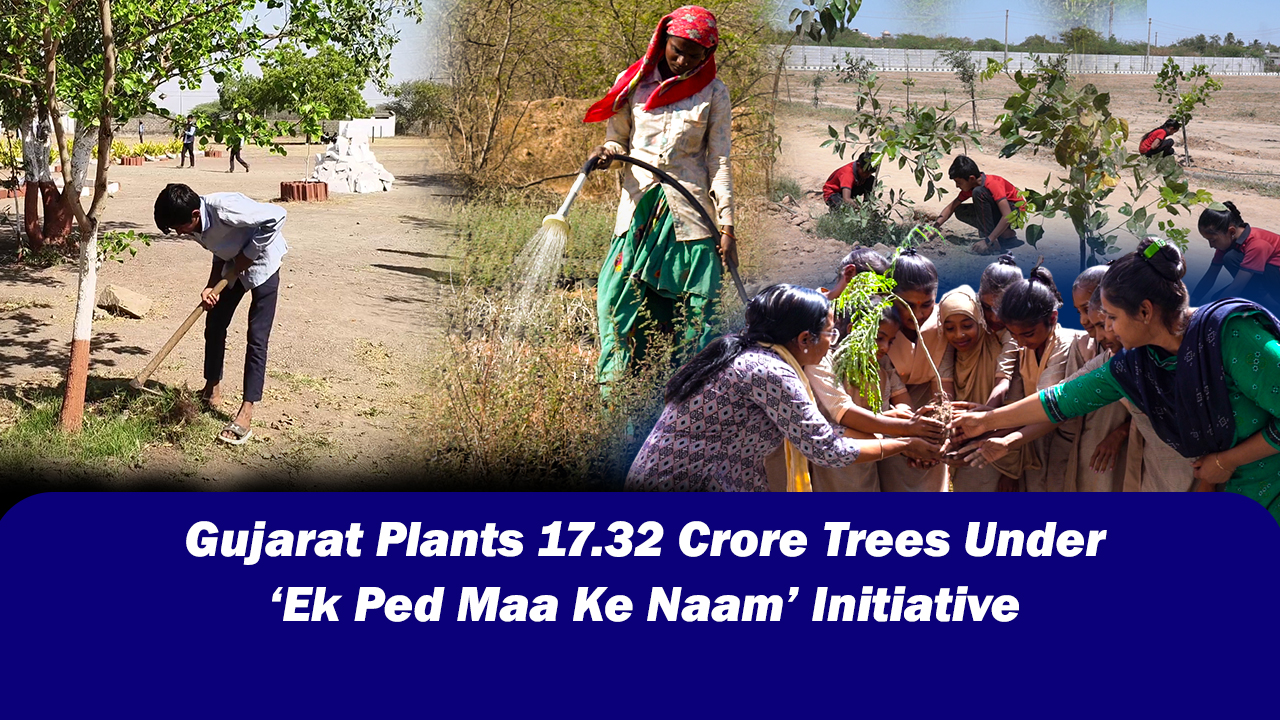 Gujarat Plants 17.32 Crore Trees Under ‘Ek Ped Maa Ke Naam’ Initiative