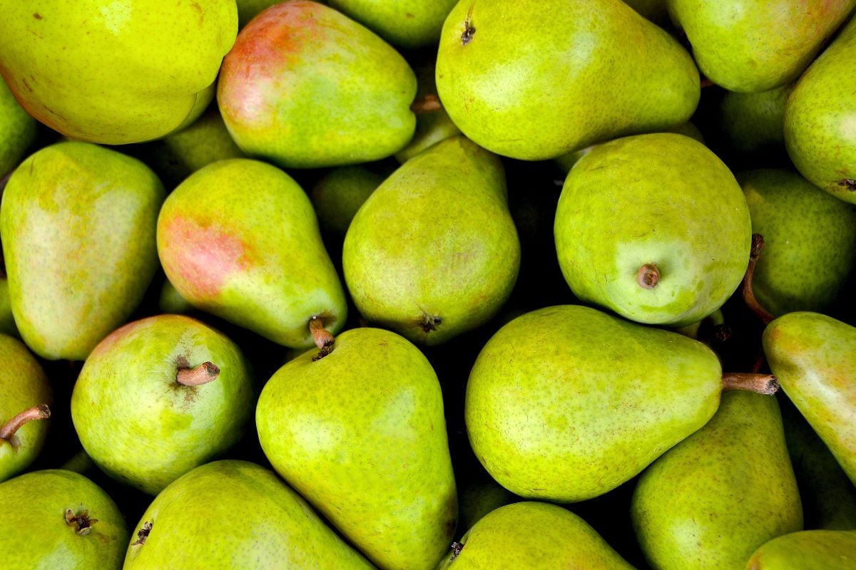 How to Freeze Pears