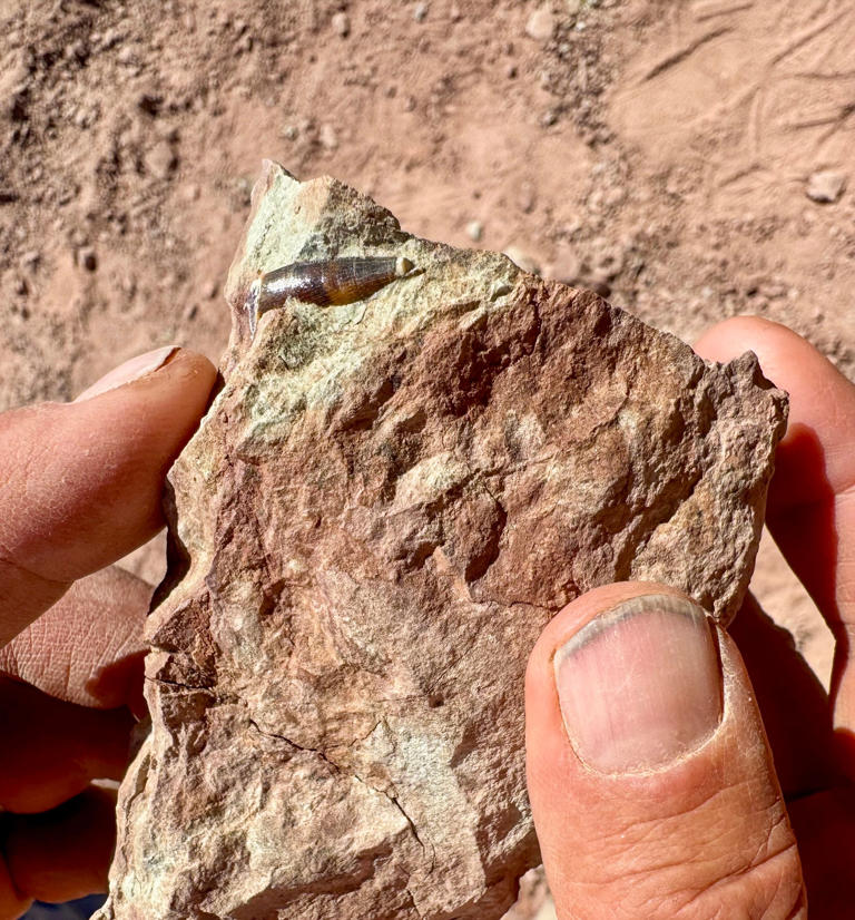 A Utah city is pulling the plug on plans to build a power station on ...