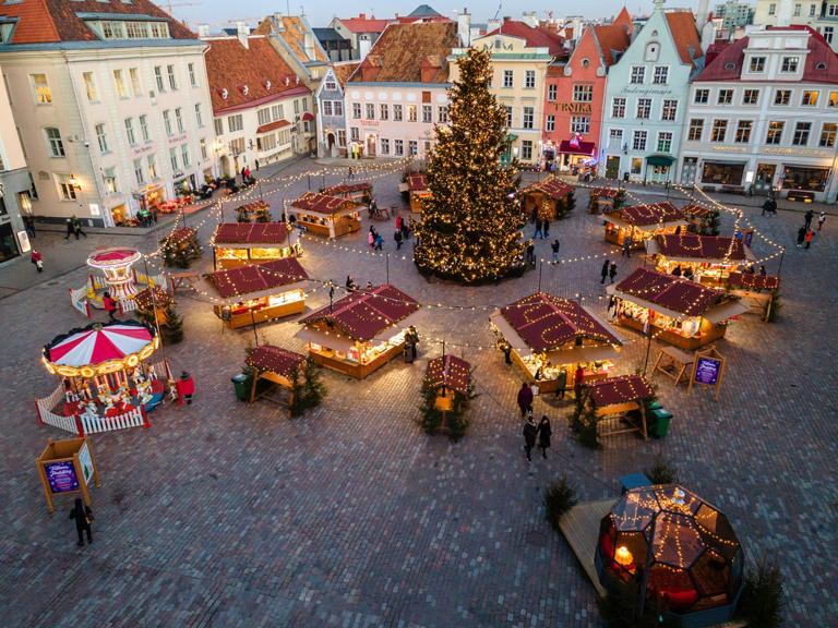 Visiting the Winter Wonderland of Finland With Kids: Itinerary for 7 Days