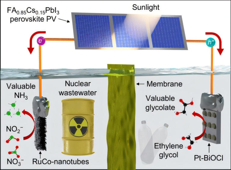 Solar-powered system converts waste to ammonia and glycolic acid