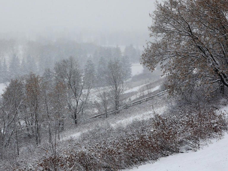 Edmonton weather: Roadways reopen while heavy snowfall continues