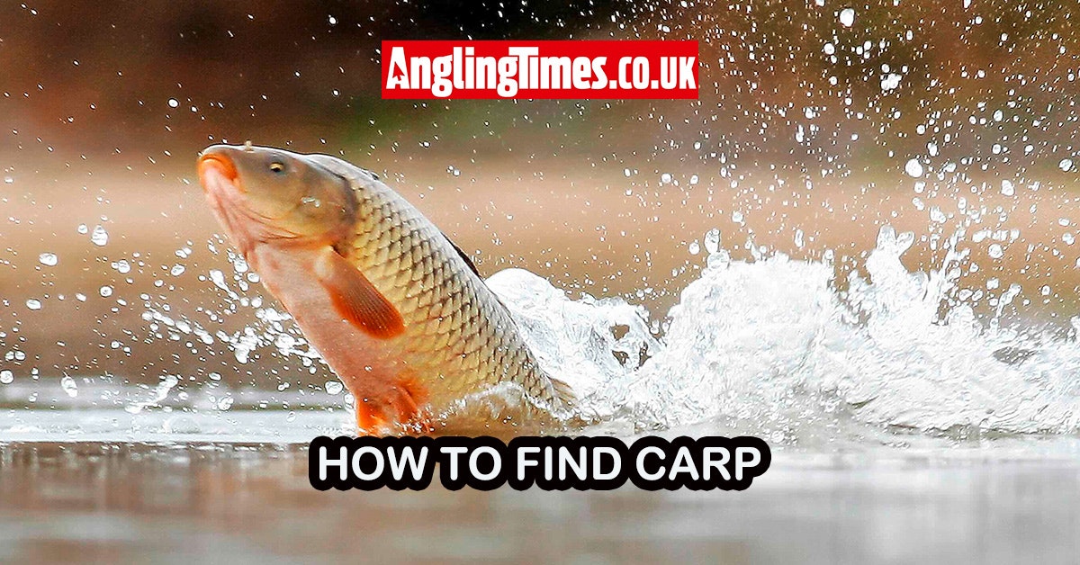 How to find carp on a lake | crucial signs to look for