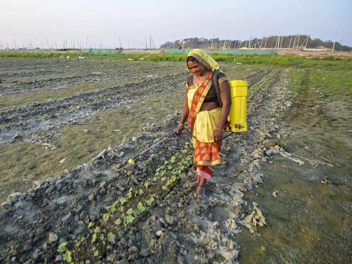 Cabinet approves Rs 37,216 cr subsidy on phosphatic, potassic fertilisers