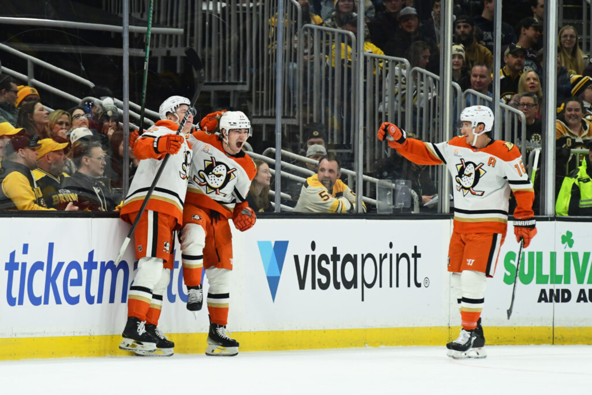 Anaheim Ducks the Importance of Strome, Vatrano, and Terry