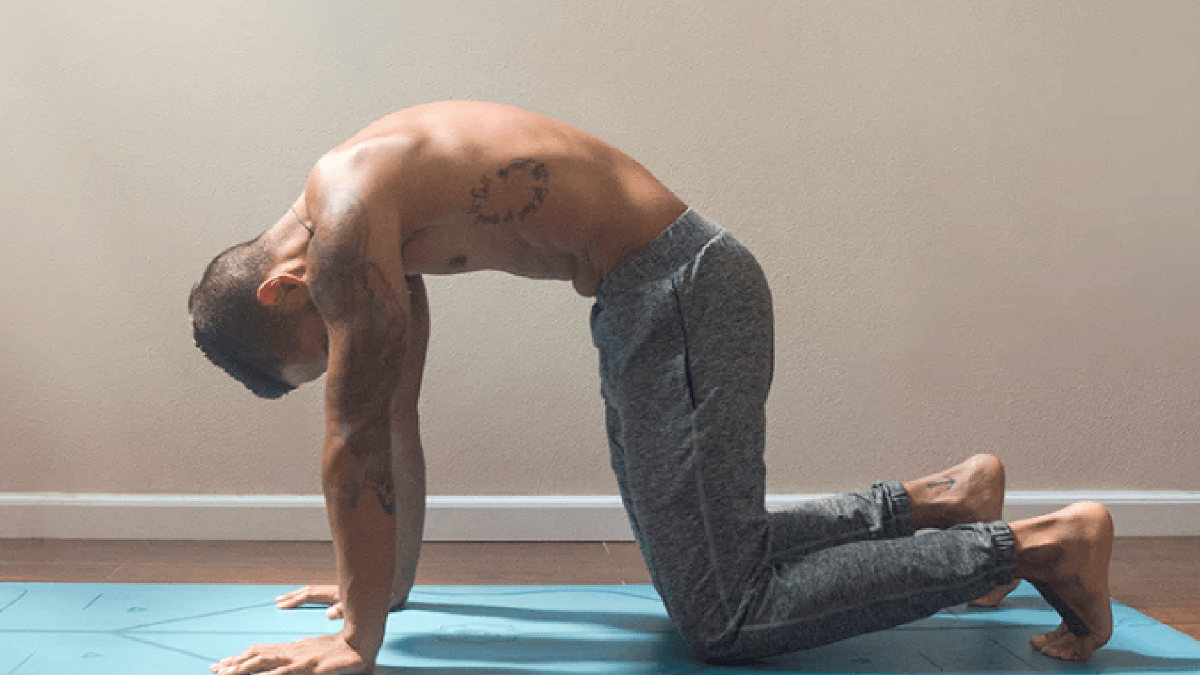 Say Goodbye to Pain and Stiffness! 5 Exercises for a Healthy Back and ...