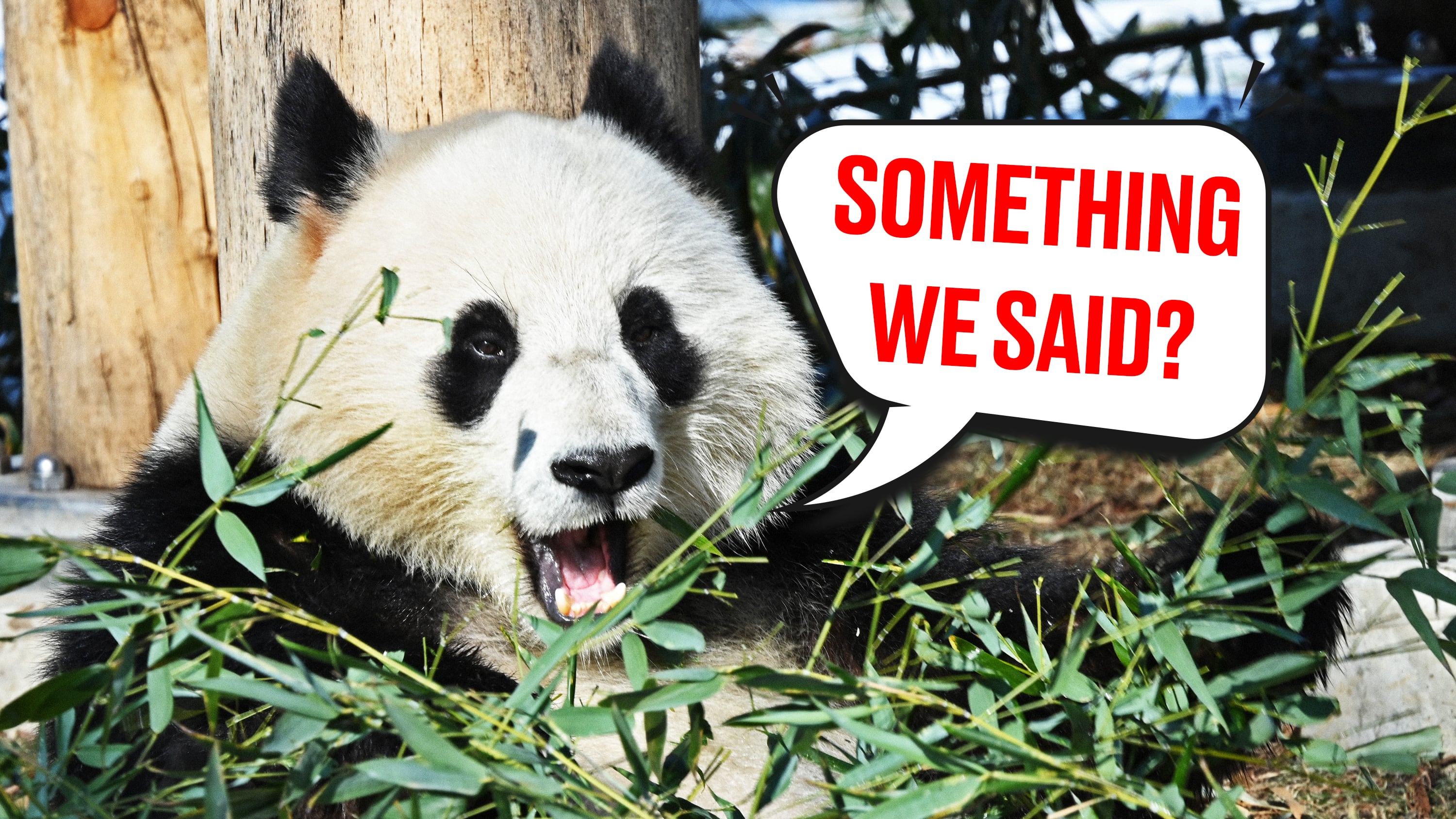 Trump Orders Crackdown on Wrong ‘Ideology’ at Nation’s Top Zoo