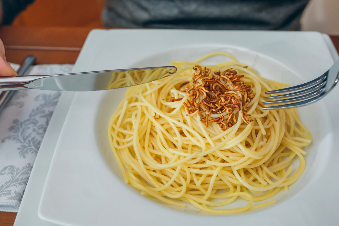 From Gross to Gourmet: The Rise of Edible Insects On Restaurant Menus