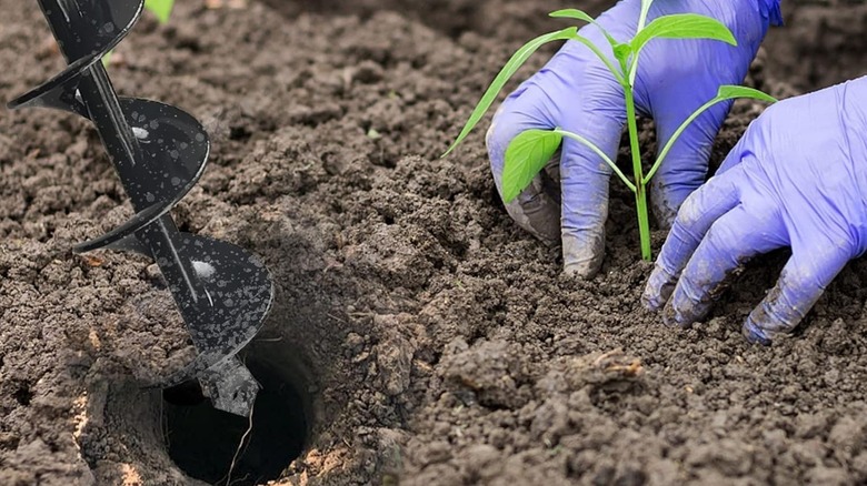 What Is A Plant Auger And How It'll Make Your Next Garden Project Easier
