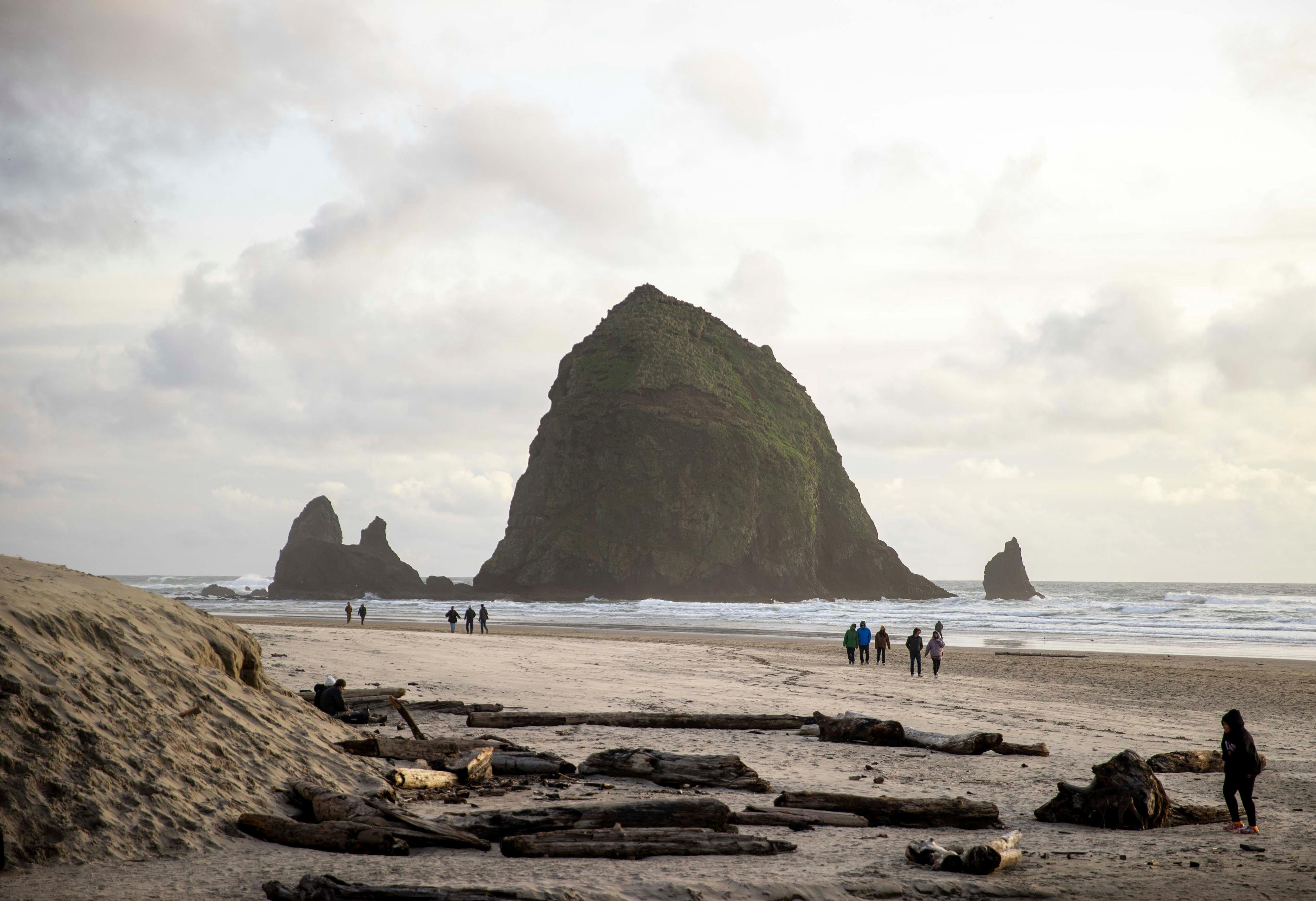 Iconic Oregon Coast beach voted one of best dog-friendly beaches in US