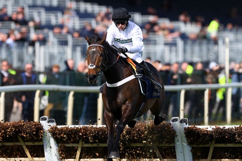 Constitution Hill decision made for Aintree Hurdle after dramatic ...