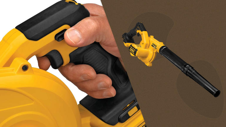 DeWalt's 20V Max Leaf Blower That's 'Lightweight' but 'Surprisingly ...