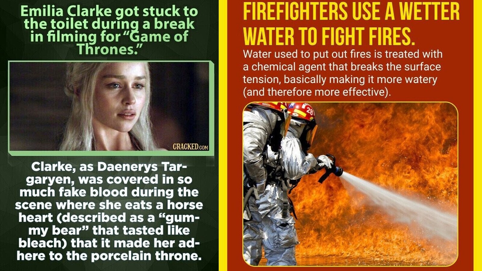 37 Interesting Facts and Knowledge Nuggets We Learned From the Internet