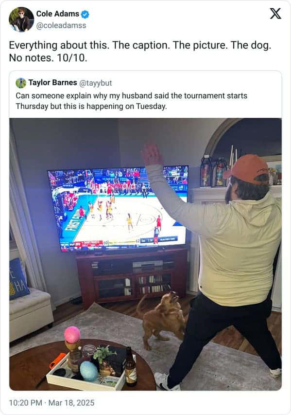 30 Funniest Quote Tweets That Took Boring Posts And Gave Them A ...