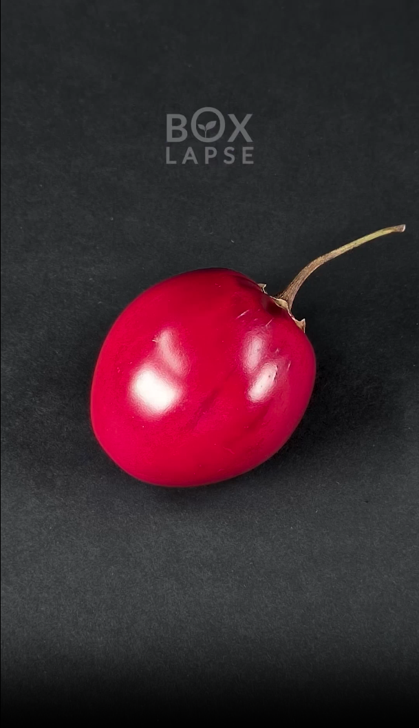 Not all time-lapses shine