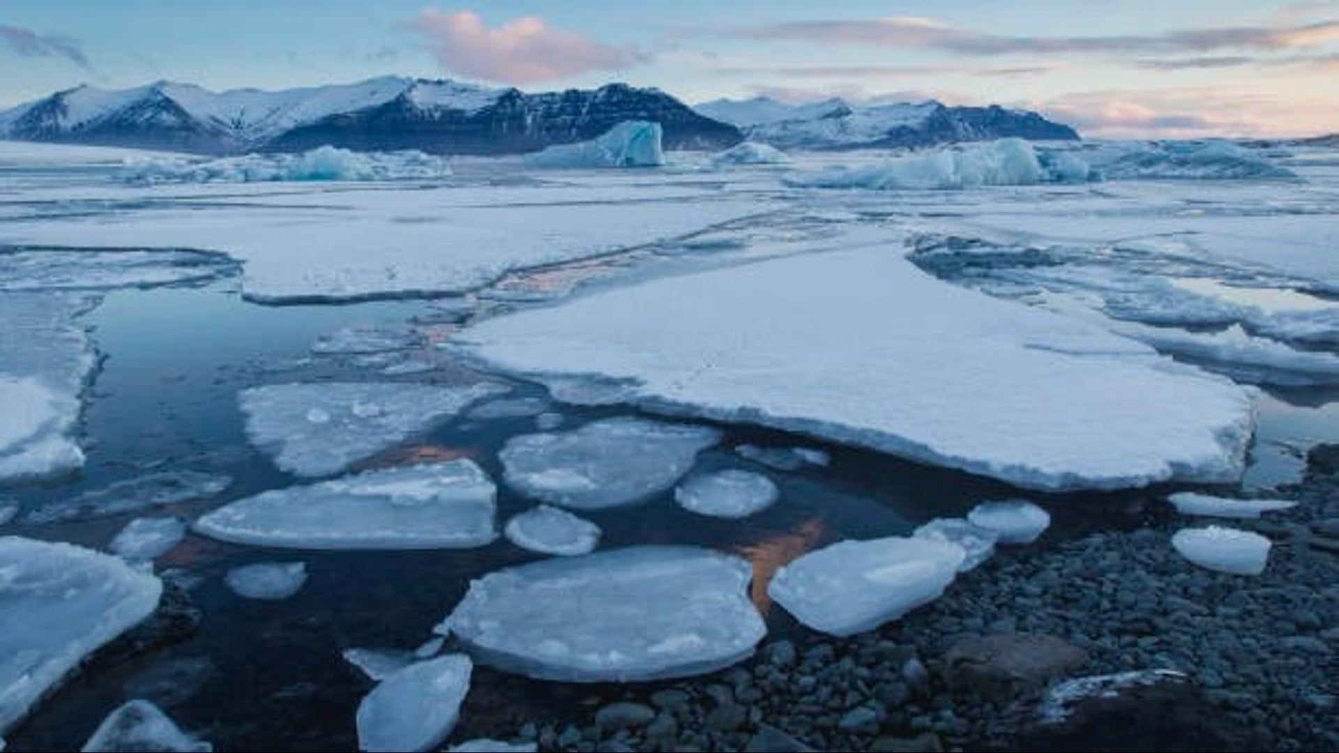 20 Astronautes de renom dans le monde entier à travers l’histoire & ce ...