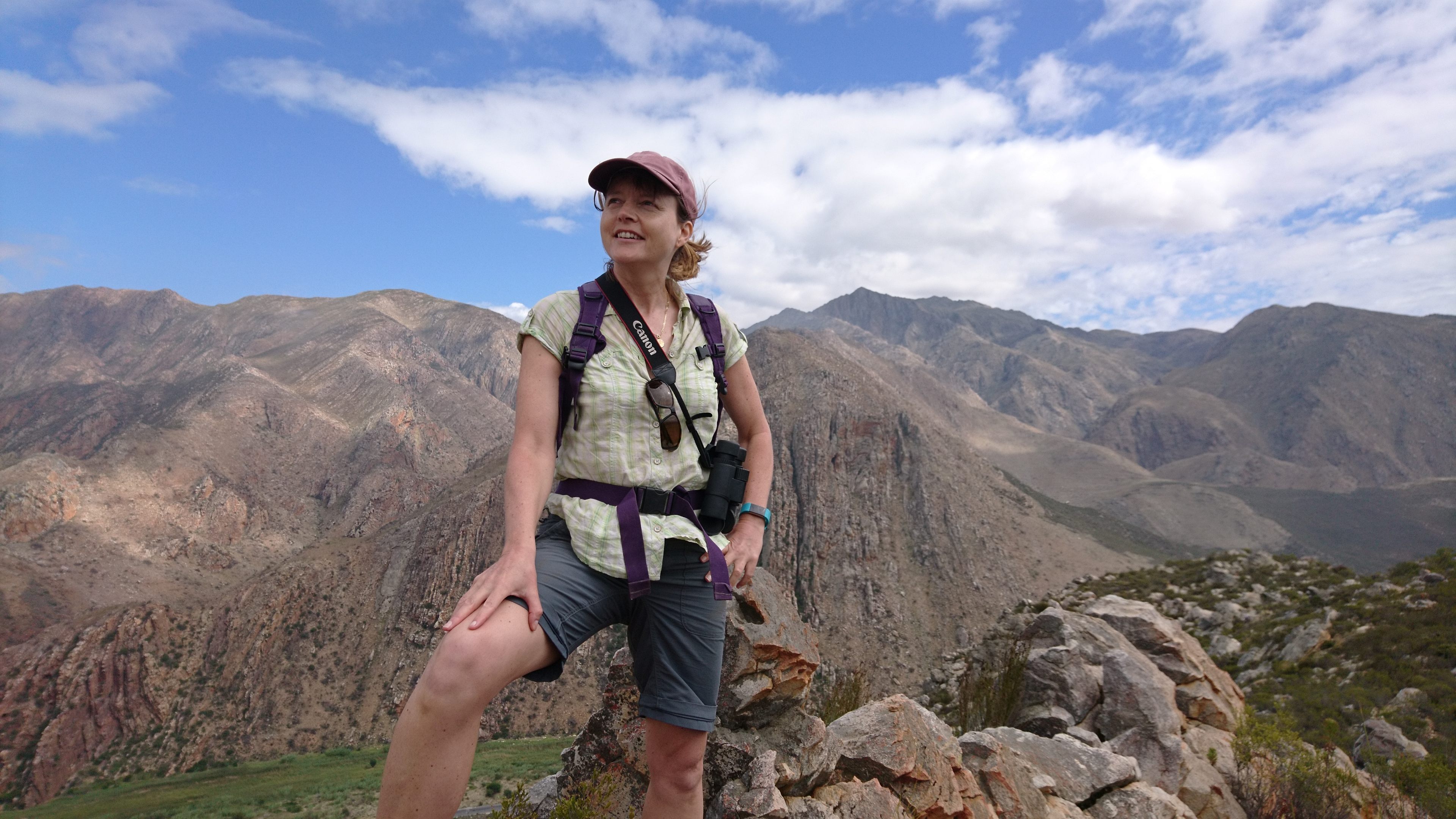 Scientists uncover 'inside-out, legless, headless wonder' that lived ...