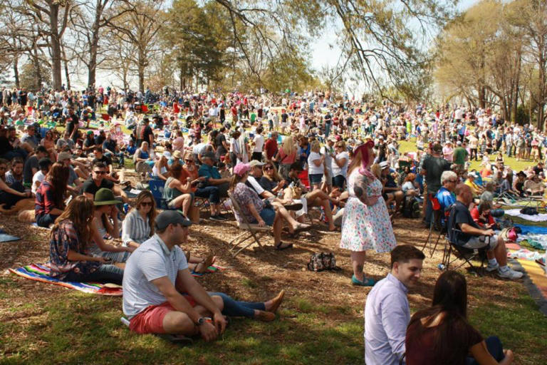 Brookhaven Cherry Blossom Festival will feature musical acts, family ...