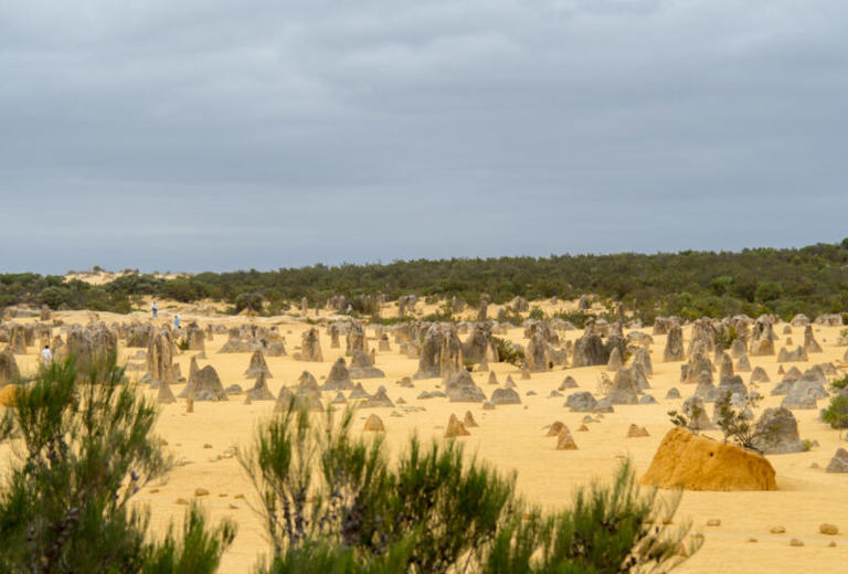 Heading to Perth? See why you won't want to miss this Pinnacles tour!