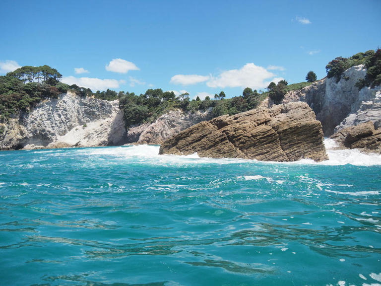 Glass Bottom Boat Whitianga: Exploring the beauty of the Coromandel ...