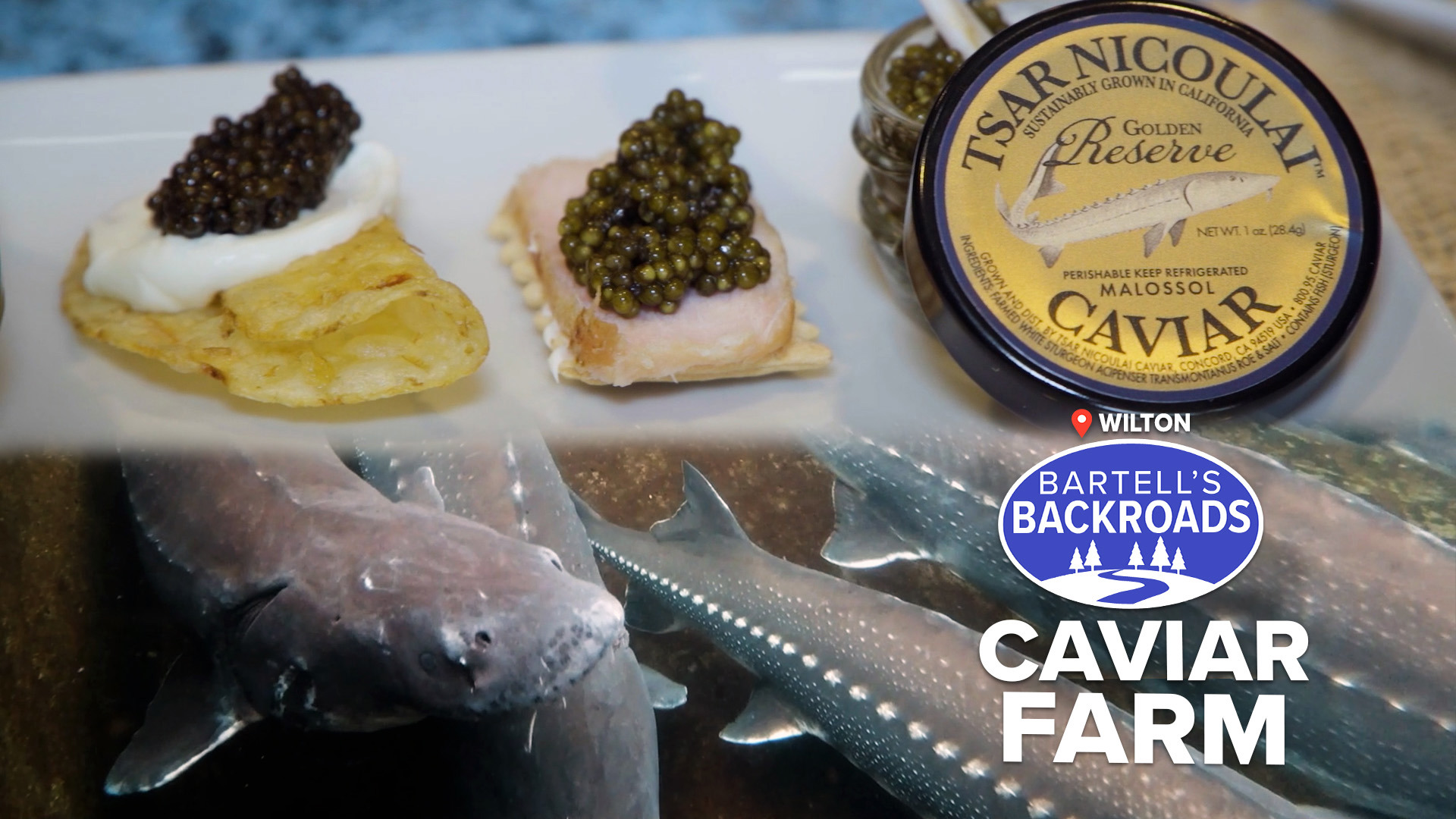 America's premiere caviar is crafted on California's largest sturgeon ...