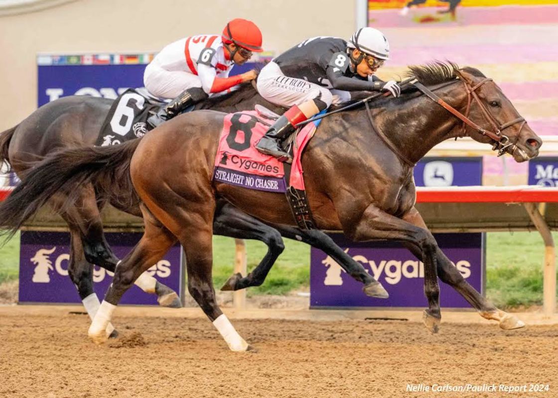 WinStar Farm Lands Breeding Rights To Champion Straight No Chaser