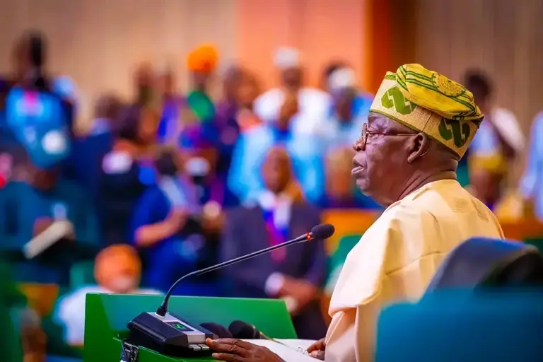 Tinubu directs security agencies to track down killers of hunters in Edo