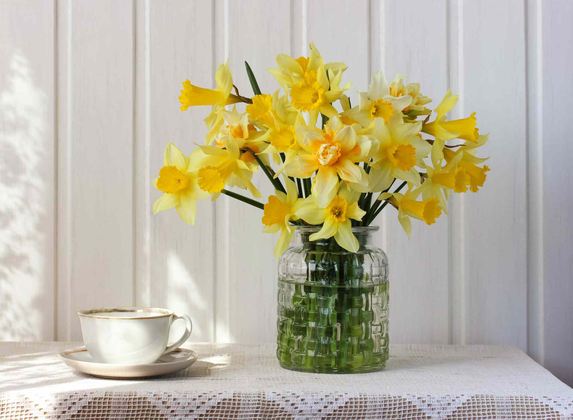 How to Make a Daffodil Bouquet Last Longer, According to Florists