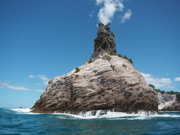 Glass Bottom Boat Whitianga: Exploring the beauty of the Coromandel ...