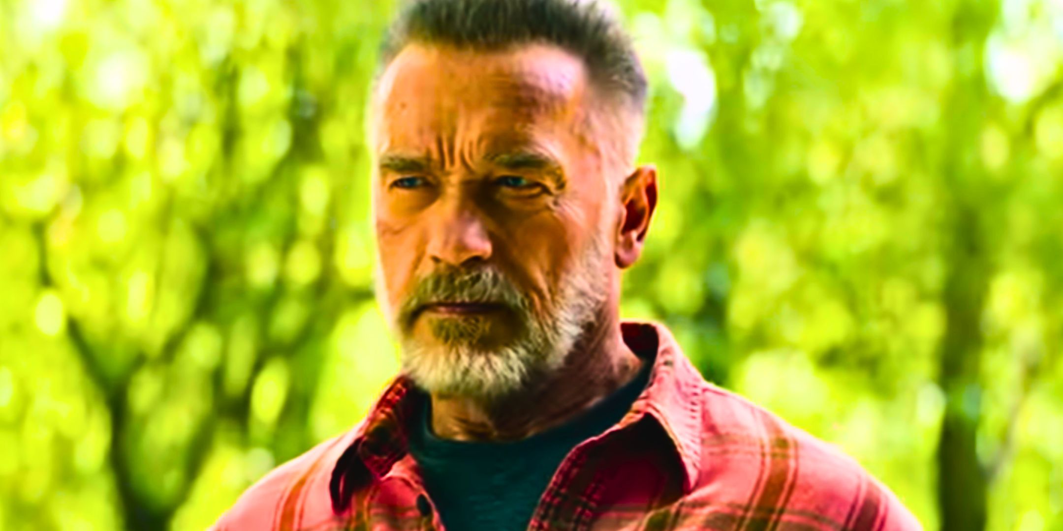 Terminator 7 Replacing Arnold Schwarzenegger Is So Difficult, Only One ...