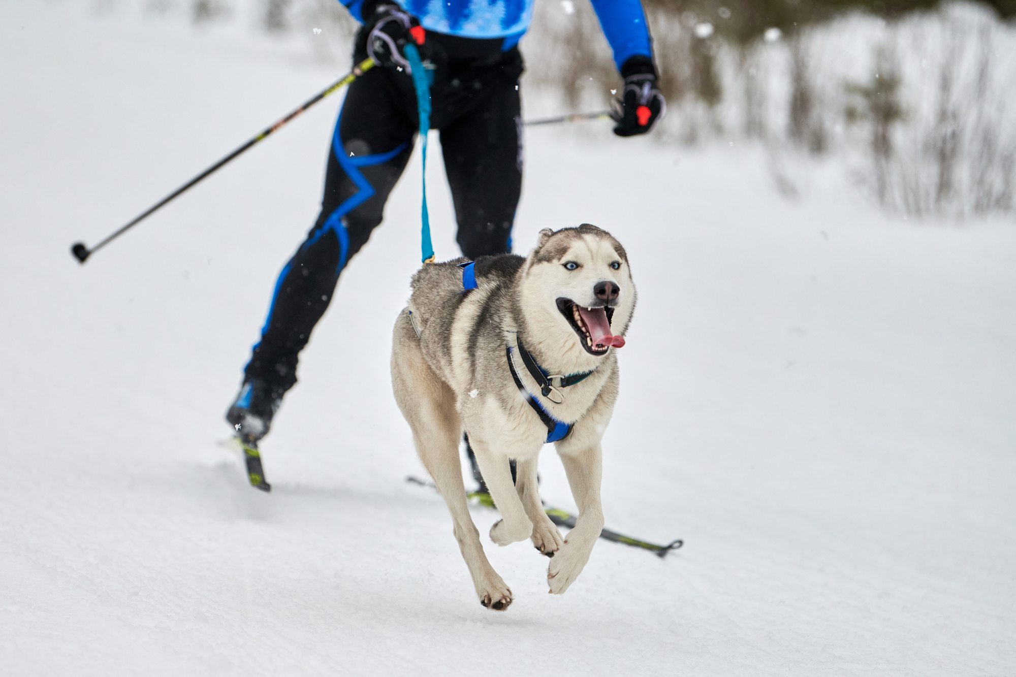20 Ski Towns Great for Non-Skiers Too