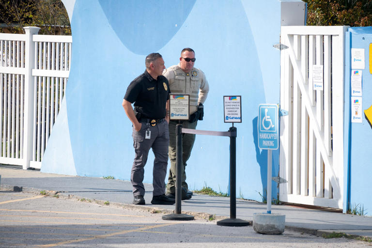 Company at center of probe into dolphin deaths at Gulf World Marine ...