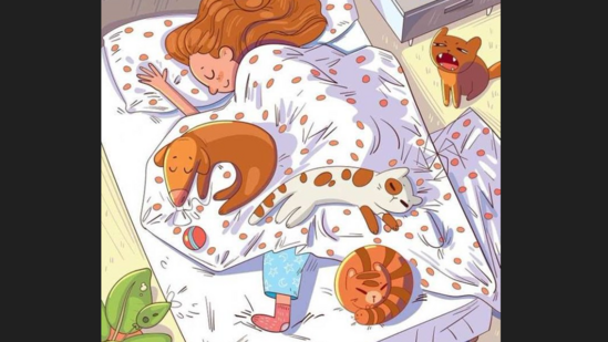 Be internet's optical illusion master: Can you spot the hidden bee in ...