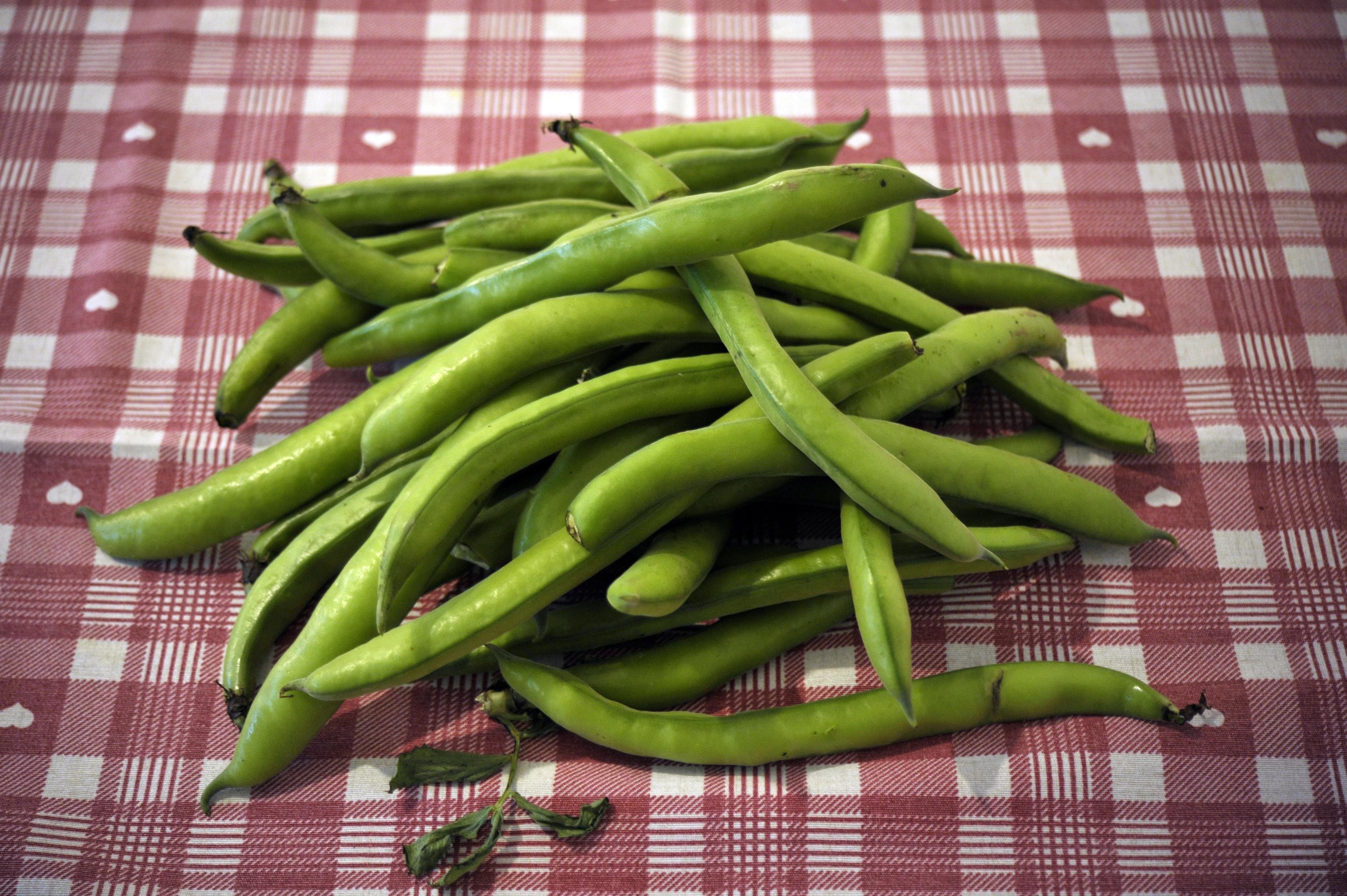 Stop all'inverno, arrivano fave e agretti e dal mare le seppie